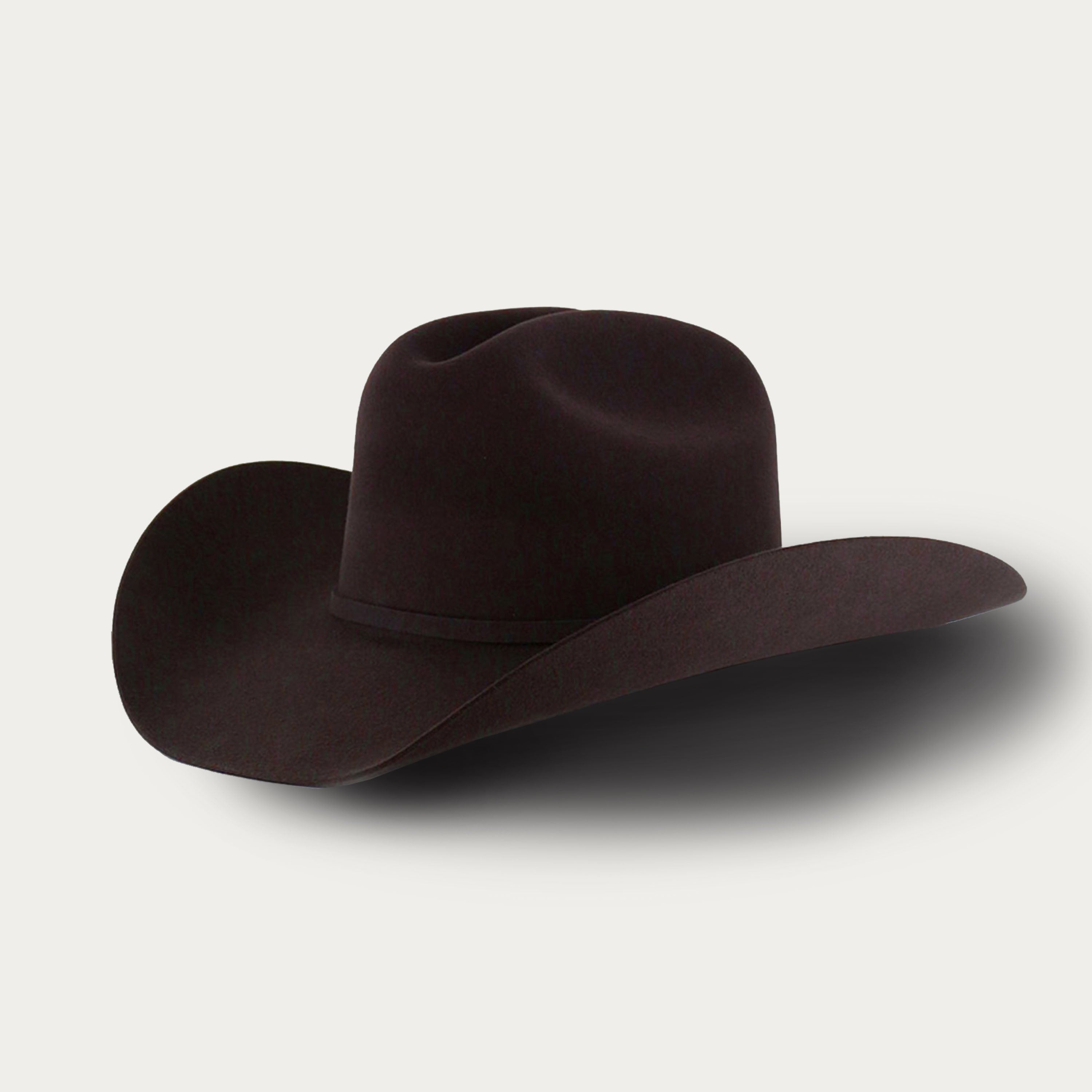 Presidente 100X Felt Cowboy Hat